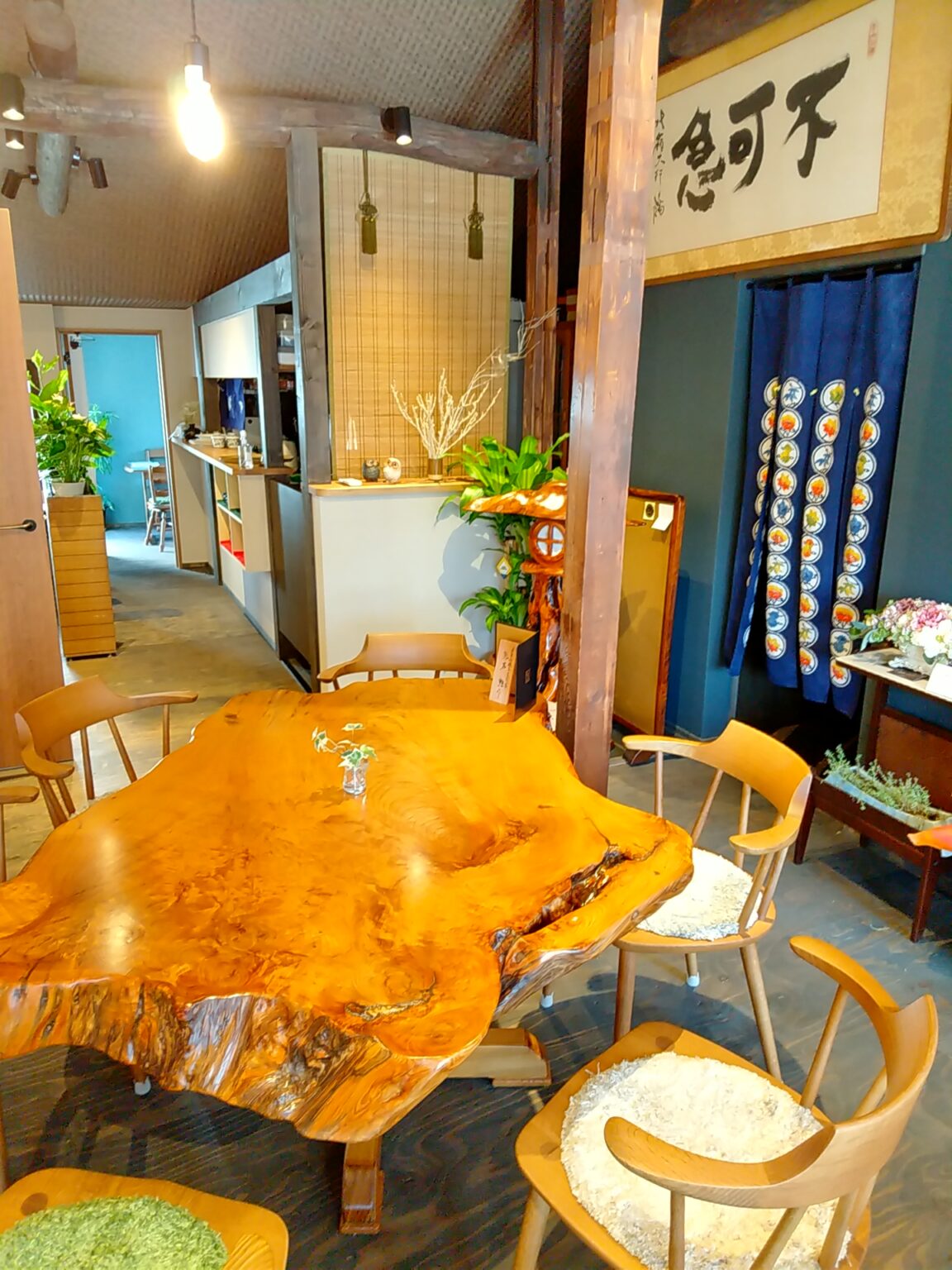 ギャラリー Galleryでは最新の情報もYoutubeチャンネルで確認できます | 憩いの広場・音楽の広場 アイボリー